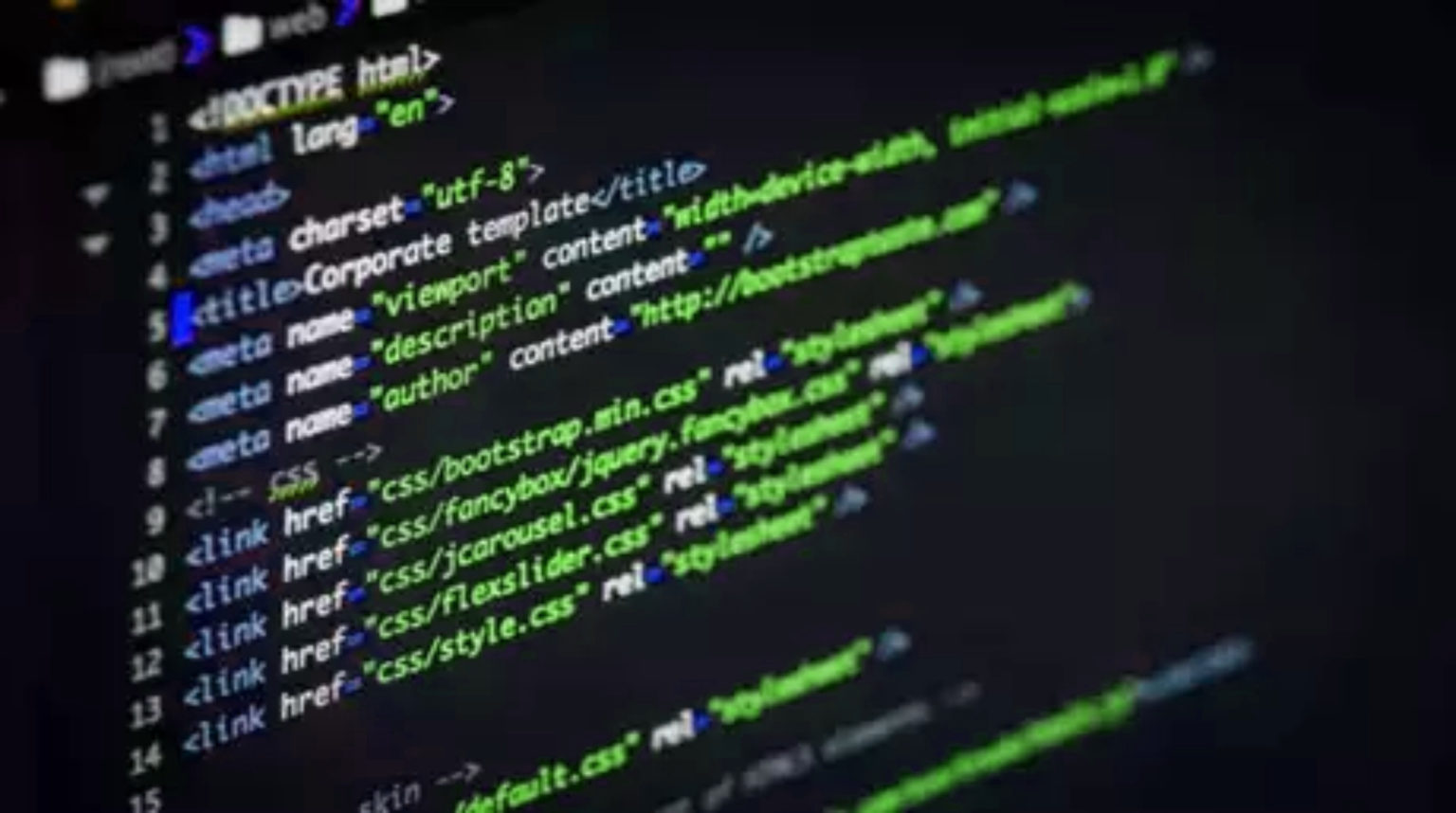 Top Programming Languages For BCA Students: A Comprehensive Guide | LNCT Group